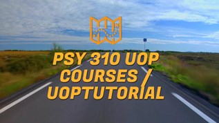 PSY 310 UOP Courses uoptutorial at emaze Presentation
