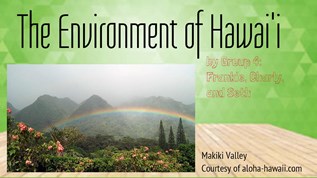 Hawaii Environment at emaze Presentation