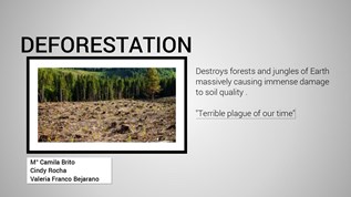 Deforestation at emaze Presentation