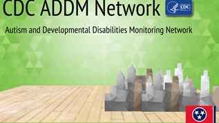 CDC ADDM Network copy4 at emaze Presentation