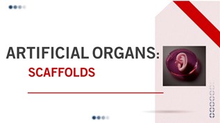 Artificial Organs: Scaffolds at emaze Presentation