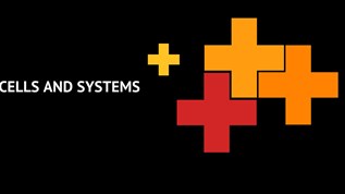 Cells and systems at emaze Presentation