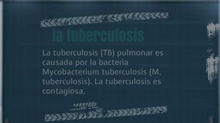 la tuberculosis on emaze