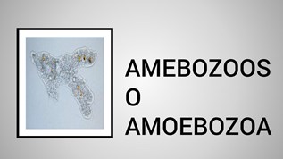 Presentation Name at emaze Presentation