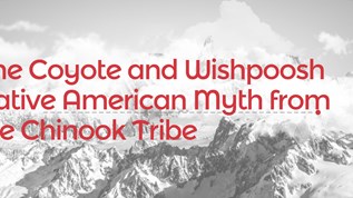 The Coyote and at emaze Presentation