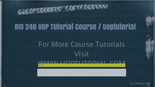BIO 240 UOP Tutorial Course Uoptutorial at emaze Presentation