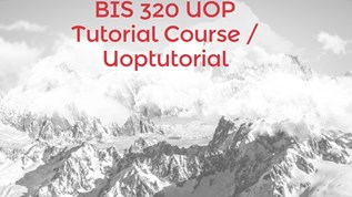 BIS 320 UOP Tutorial Course Uoptutorial at emaze Presentation