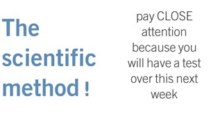 scientific method at emaze Presentation