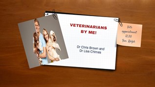 Vets at emaze Presentation