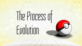 The Process of Evolution at emaze Presentation
