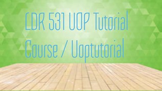 LDR 531 UOP Tutorial Course Uoptutorial at emaze Presentation
