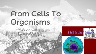 From Cells To at emaze Presentation