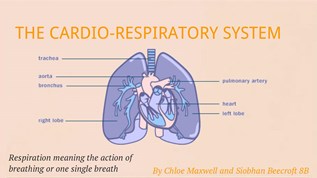 The cardio-respiratory system at emaze Presentation