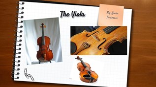 The Viola at emaze Presentation