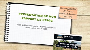 Rapport de stage at emaze Presentation