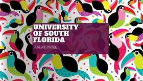 USF at emaze Presentation