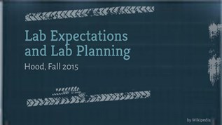 Lab Expectations at emaze Presentation