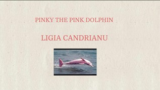 Pinky, the Pink Dolphin at emaze Presentation