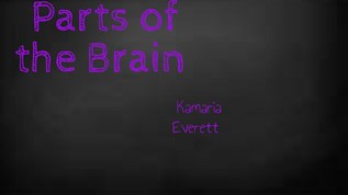 Parts of the Brain at emaze Presentation