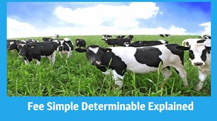 Fee Simple Determinable Explained at emaze Presentation