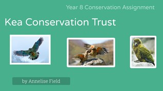 Year 8 Conservation at emaze Presentation