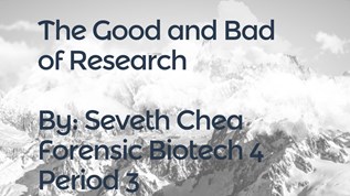 The Good and Bad of Research at emaze Presentation