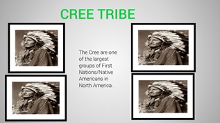 CrEE TRIBE at emaze Presentation