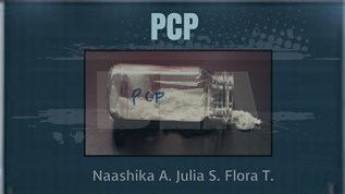 PCP at emaze Presentation