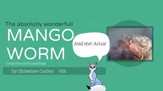 Mango worms at emaze Presentation