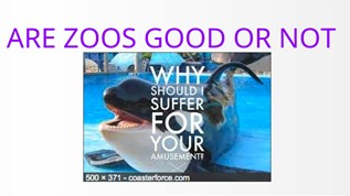 zoos good or bad at emaze Presentation