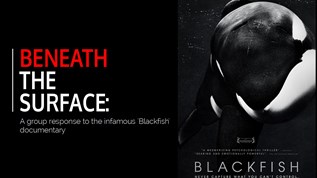 BlackFish Presentation at emaze Presentation