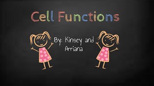Cell Functions at emaze Presentation