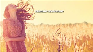 Primary SECONDARY at emaze Presentation