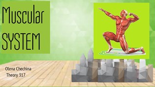 muscular system at emaze Presentation