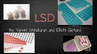 LSD at emaze Presentation