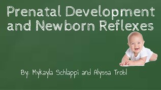 Prenatal Development at emaze Presentation