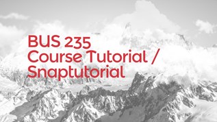 BUS 235 Course Tutorial Snaptutorial at emaze Presentation