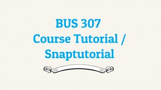 BUS 307 Course Tutorial Snaptutorial at emaze Presentation