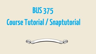 BUS 375 Course Tutorial Snaptutorial at emaze Presentation
