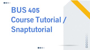 BUS 405 Course Tutorial Snaptutorial at emaze Presentation