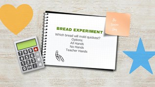 Bread Experiment at emaze Presentation
