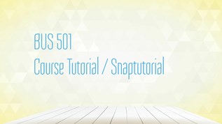 BUS 501 Course Tutorial Snaptutorial at emaze Presentation