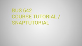BUS 642 Course Tutorial Snaptutorial at emaze Presentation