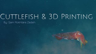 Cuttlefish & 3D Printing at emaze Presentation