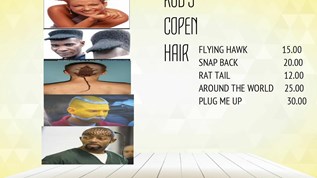 HAWK at emaze Presentation