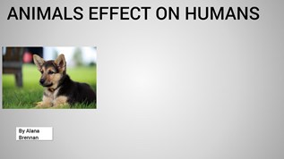 Animals effect oN at emaze Presentation
