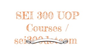 SEI 300 UOP Courses at emaze Presentation
