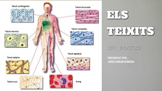 Teixits at emaze Presentation