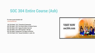 SOC 304 Courses soc304dotcom at emaze Presentation