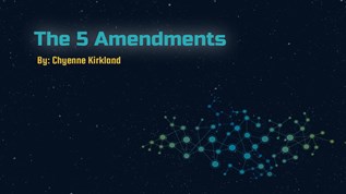 The 5 Amendment at emaze Presentation